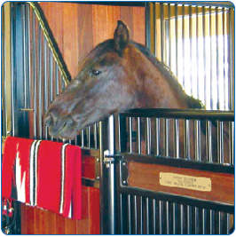 Stable | Equine Plates | iMARC Pet Tag Engraver